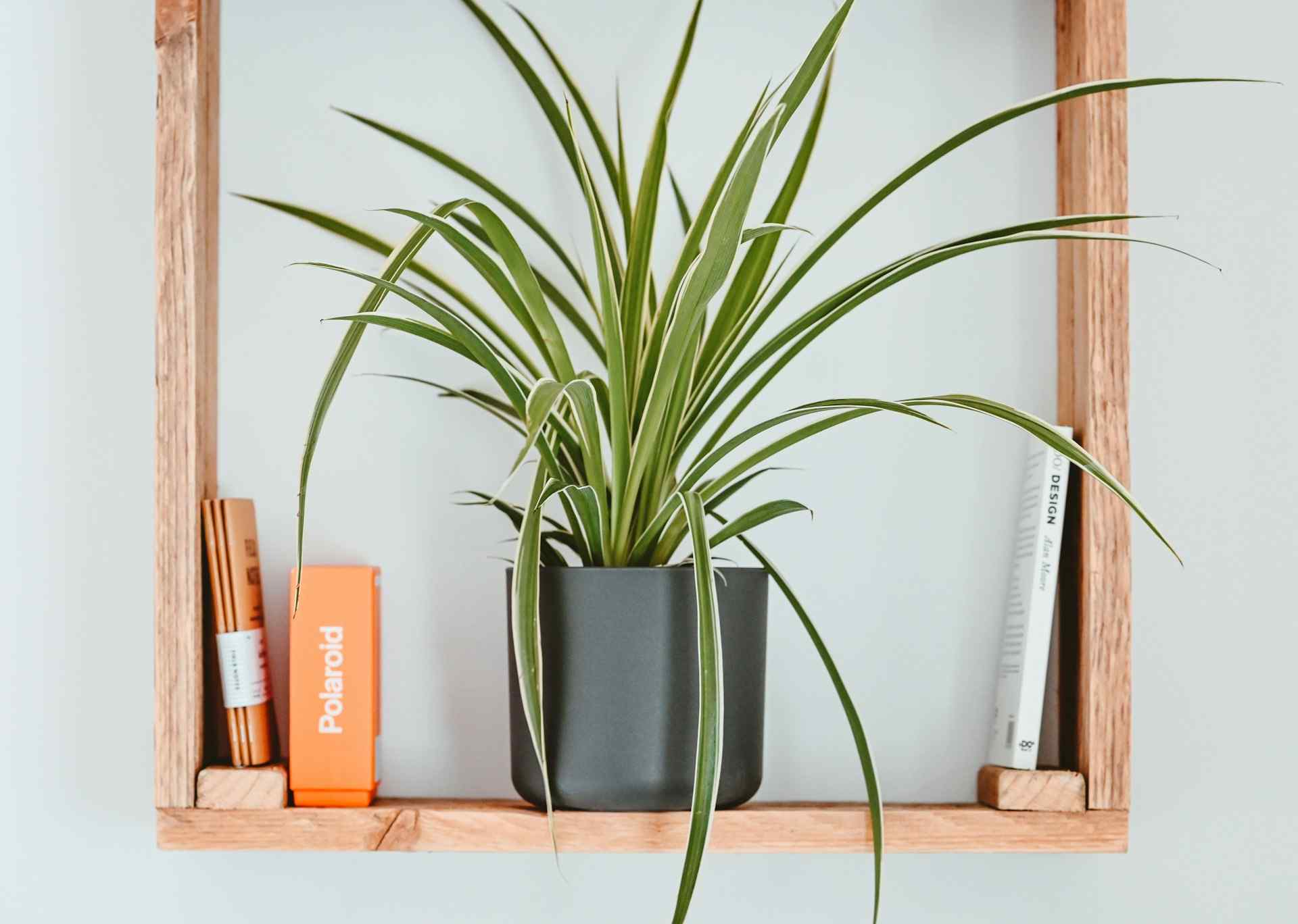 How to Recognize Signs of OCD in Children - Newport Beach Christian ...